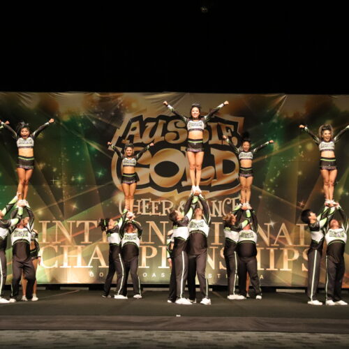 Bids – Aussie Gold Cheer & Dance